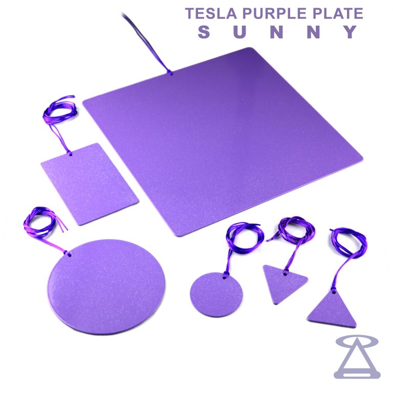 Important Information About Tesla Plates - Tesla Purple Plates